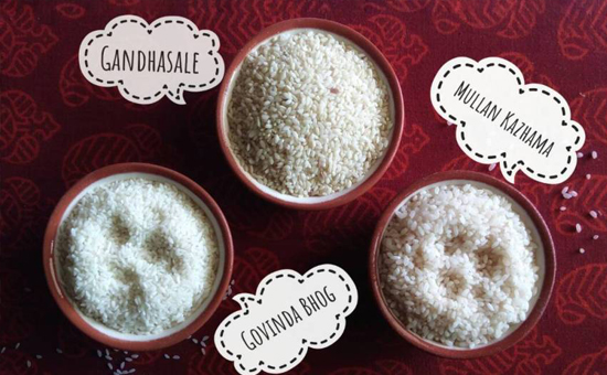 Traditional Rice Varieties of India