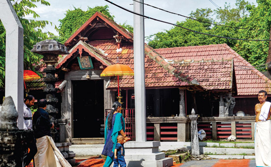Enter the Sacred Kavu Groves of Kerala