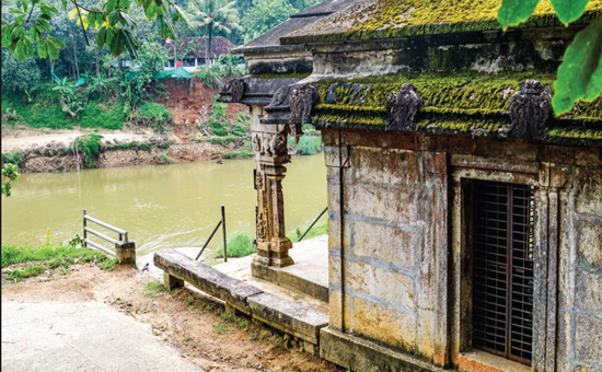 Enter the Sacred Kavu Groves of Kerala