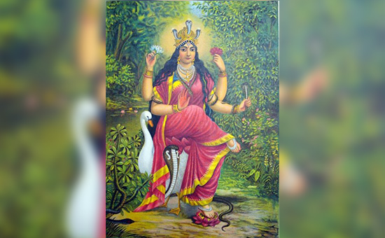 Snake, Nag worship in India